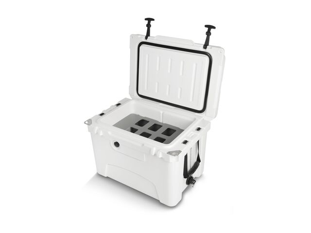 Insulated reusable container | Contact CSafe